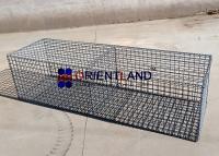China Commercial Pvc Coated Welded Wire Mesh Gabion Artistic Decorations 2m*0.5m*0.5m for sale