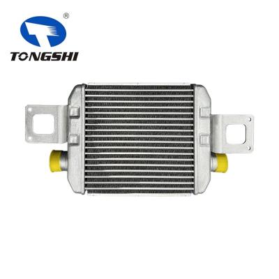 China Efficient Heat Dissipation Automotive Intercooler For Hino Dutro Toyota Dyna 130ht 130HD for sale