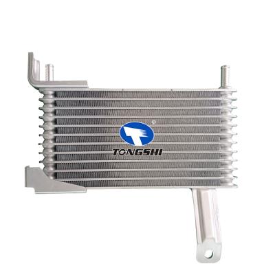 China High Efficient Car Engine Oil Cooler E-150 E-250 4.6L 2008 Ford Oil Cooler for sale