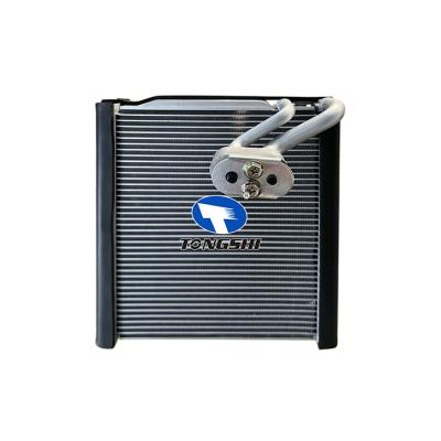 China KIA Car Air Conditioner Evaporator Optima Yuanjian K5 11-12 Auto AC Evaporator for sale