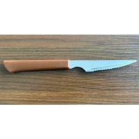 China Plastic Handle Commercial Steak Knife Bulk Food Grade 304 Stainless Steel Serrated Knife Serrated Blade for sale