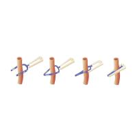 China Minimally Invasive Surgical Devices Alligaclip TM Absorbable Ligating Clips for sale