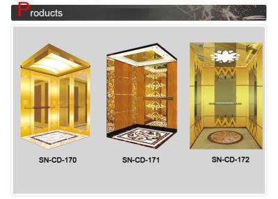 China Golden Side Panel St . St Vault Panel Car Ceiling With Lights Decoration for sale