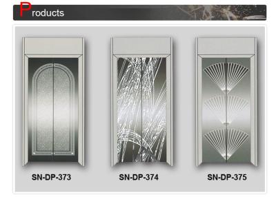China Elevator Cabin Decoration ST . ST Marvelous Home Elevators Door Panel for sale