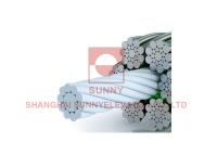 China Passenger Elevator Safety Components Gustav Wolf Speed Governors Wire Rope for sale