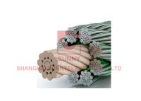 China Fiber Core Elevator Safety Components Wire Rope 8 X 19 Seale With for sale
