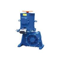 China Escalator Drive With Power 8~15kw Escalator Installation Safety for sale