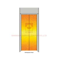 China Hgih Precision Elevator Door Operator Panel Series For Center Opening Door for sale