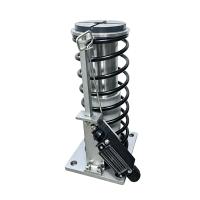 China Hydraulic Oil Buffer for High-Speed Elevators with 150mm–600mm Stroke in Carbon Steel/Stainless Steel for Crash Protection & Noise Reduction for sale