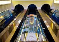 China Semicircle Panorama High Speed Elevator Hairline Stainless Steel For Passenger Lift for sale