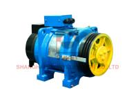 China Machine Single Wrap Load 250kg Home Elevator Motor With 20 Poles for sale