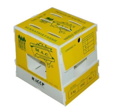 China Foldable Corrugated Plastic Boxes for sale