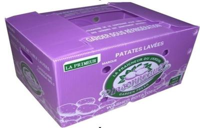 China Polypropylene Corrugated Plastic Boxes for sale