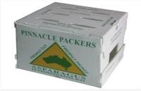 China Foldable Corrugated Plastic Boxes In Cold Storage , Asparagus Boxes for sale