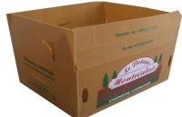 China Agricultural Corrugated Plastic Boxes Plastic Vegetable Boxes Colorful for sale