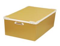 China Folding / Collapsible PP Plastic Corrugated Boxes For Moving / Packing / Storage for sale