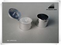 China Shine finishing 28 / 410 Caps and Closures Shampoo PP Flip top cap for sale