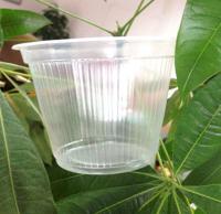China 450ml Plastic Disposable Cups With Round Bowl , Clear Yogurt Cups for sale