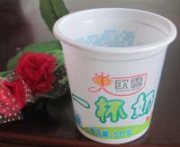 China Disposable Plastic Ice Cream Container 200ml , Straight Cup Body PET for sale