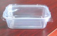 China 300ml White Disposable Ice Cream Cups , Rectangular Ice Cream Box for sale
