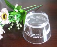 China Transparent Plastic Disposable Ice Cream Cups 150ml 5oz 5.3cm for sale
