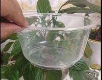 China round 700ml Disposable Plastic Bowls Eco Friendly for fast food for sale