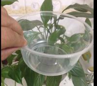 China 28oz / 850ml large Disposable plastic round bowl , plastic microwave bowls for sale