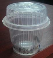 China Disposable Sundae cups，disposable plastic ice cream cups 200ml for sale