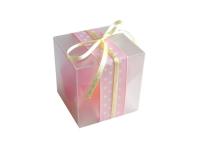China Small Clear Plastic Boxes For Wedding Favors Frosted PVC Gift Boxes for sale