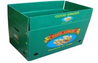 China Collapsible Corrugated Plastic Sheets , Waterproof Corrugated Plastic Boxes for sale