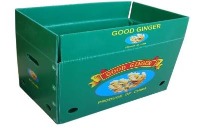 China Collapsible Corrugated Plastic Sheets , Waterproof Corrugated Plastic Boxes for sale