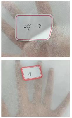 China 10gsm, 20gsm, 30gsm Polypropylene Spunbond Nonwoven Fabric for Agricultural for sale