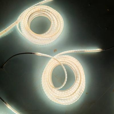 China Tunnel LED Strip Light IP68 Explosion-Proof SMD2835 8W/m 70LEDs 3000K-10000K 830lm AC210V-240V -40℃~80℃ Food-Grade Silicone for sale