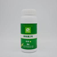 China Increase Fertilizer From No. 2 Of Production And Disease Prevention / Green Dikang for sale