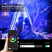 China APP Control Starry Laser Projector 4100K For Home Theater Decoration for sale