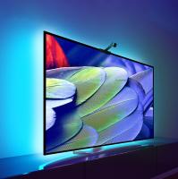 China RGBIC WiFi LED TV Ambient Backlight , Ambient LED Strip For TV With Camera for sale