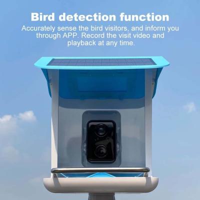 China Outdoor Smart Bird Feeder Camera Quadrate Shape With Solar Panel for sale