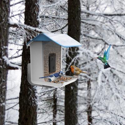 China 135 Degrees Smart Bird Feeder Camera AI Recognizes With Battery Power Source for sale