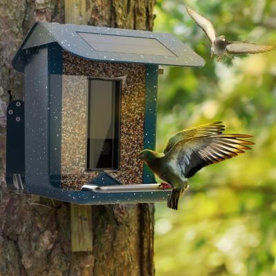 China 2.5L Wireless Wildlife Bird Feeder Camera Battery Power Source OEM DDM for sale