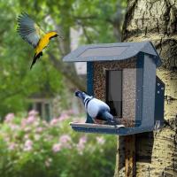 China Wireless Smart Bird Feeder Camera Plastic Material 2.5L Capacity OEM ODM for sale