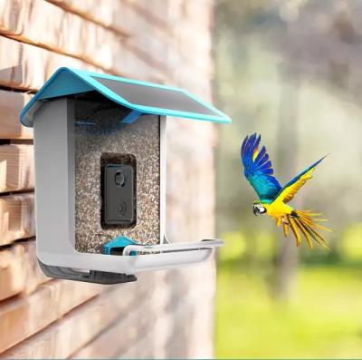 China Wifi Smart Bird Feeder With Camera For Outdoor Wildlife Identification for sale