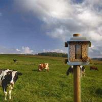 China AI Identify Smart Bird Feeder Camera WiFi 2.5L 135 Degrees Viewable Range for sale