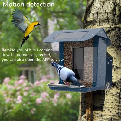 China Smart AI Wireless Wildlife Bird Feeder Camera Multi Purpose 1080HD Version for sale