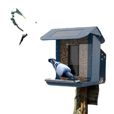 China Solar Powered Digital Bird Feeder Camera 135 Degrees Viewable Range For Outdoor for sale