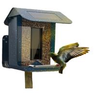 China 2.4G WIFI Smart Bird Feeder Camera 2.5L Capacity For Outside OEM for sale