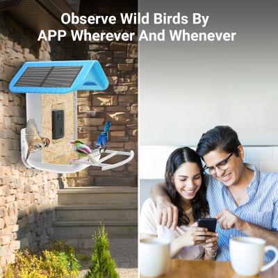 China Bird Feeder House AI Recognize Bird Species Smart Outdoor Garden Wildlife Bird Feeder Camera for sale