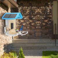 China Bird Feeder House AI Recognize Bird Species Smart Outdoor Garden Wildlife Bird Feeder Camera for sale