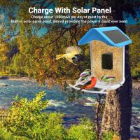 China Smart Bird Feeder with Camera Wifi App Install AI Recognize Bird Species for sale