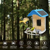 China Smart Bird Feeder with Camera, Bird Watching Camera Auto Capture Bird Videos & Notify When Birds Detected, Bird Watching for sale