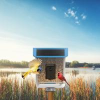China Bird Feeder with Camera,Bird Feeder,Smart Bird Feeder with 64G TF Cards,Camera 1080P HD Video,AI Identify Bird Species for sale